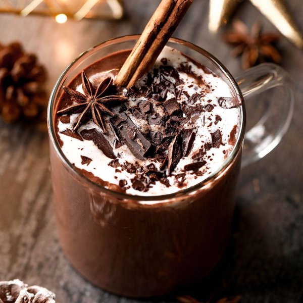 Vegan Protein Gingerbread Hot Chocolate