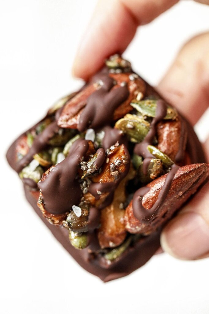 Dark Chocolate Nut Squares